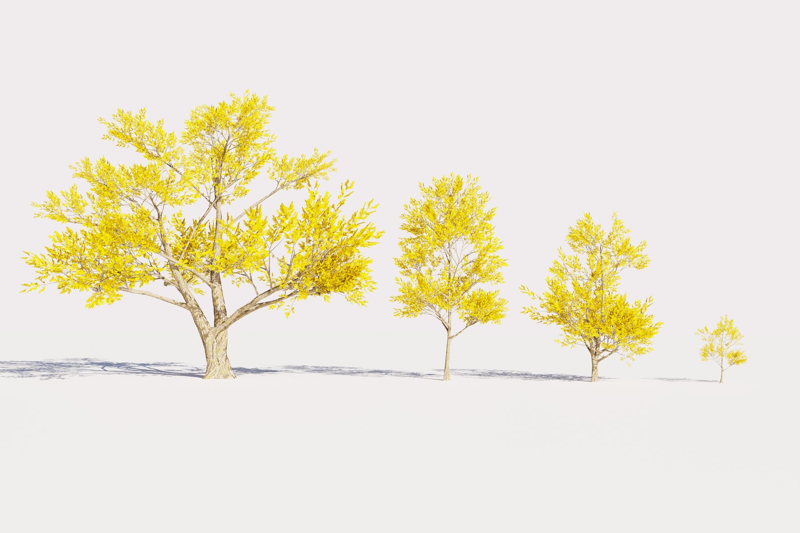 3D Model 4 Yellow Tree - TurboSquid 2250070