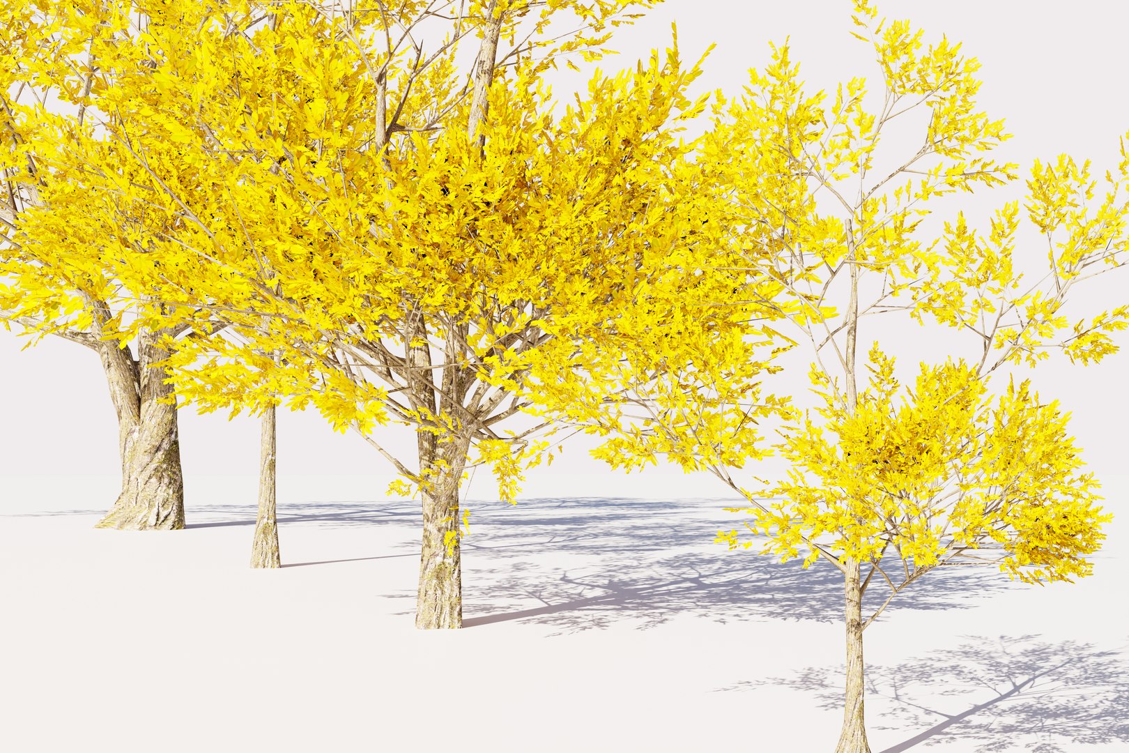 3D Model 4 Yellow Tree - TurboSquid 2250070
