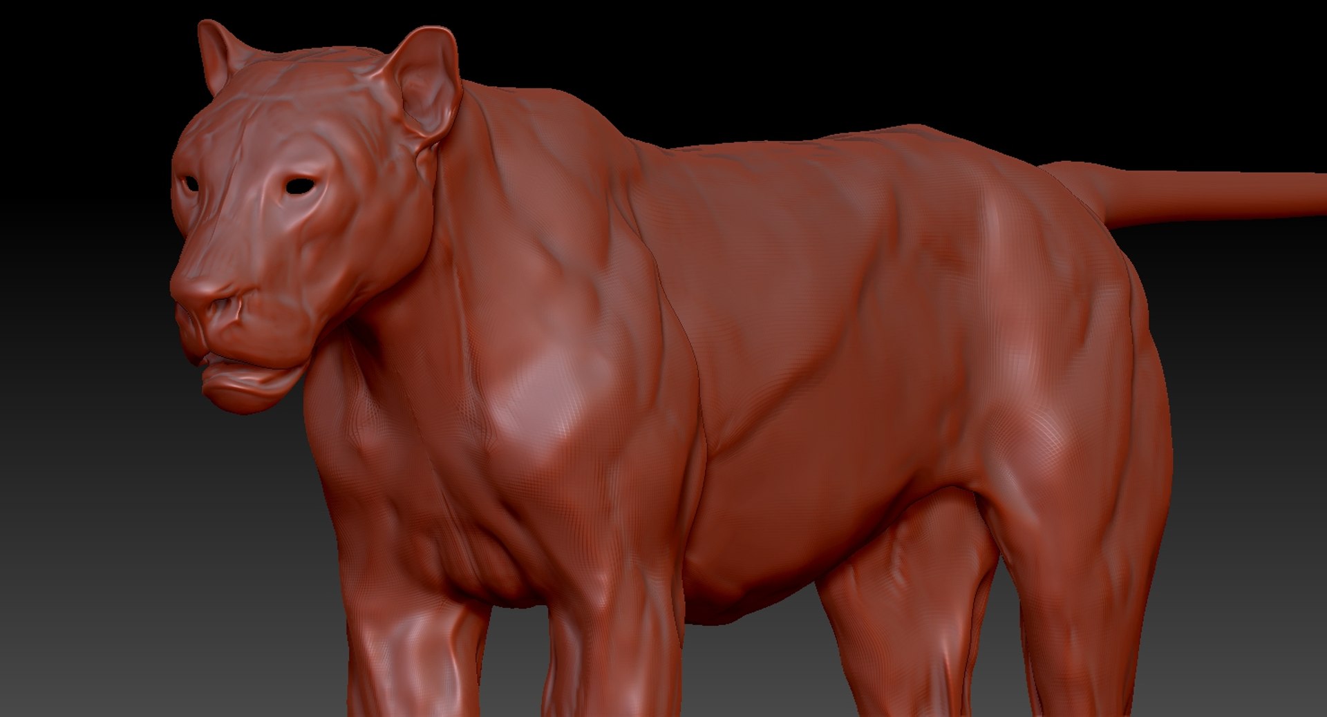 Eye Muscle Organs 3D - TurboSquid 1352451