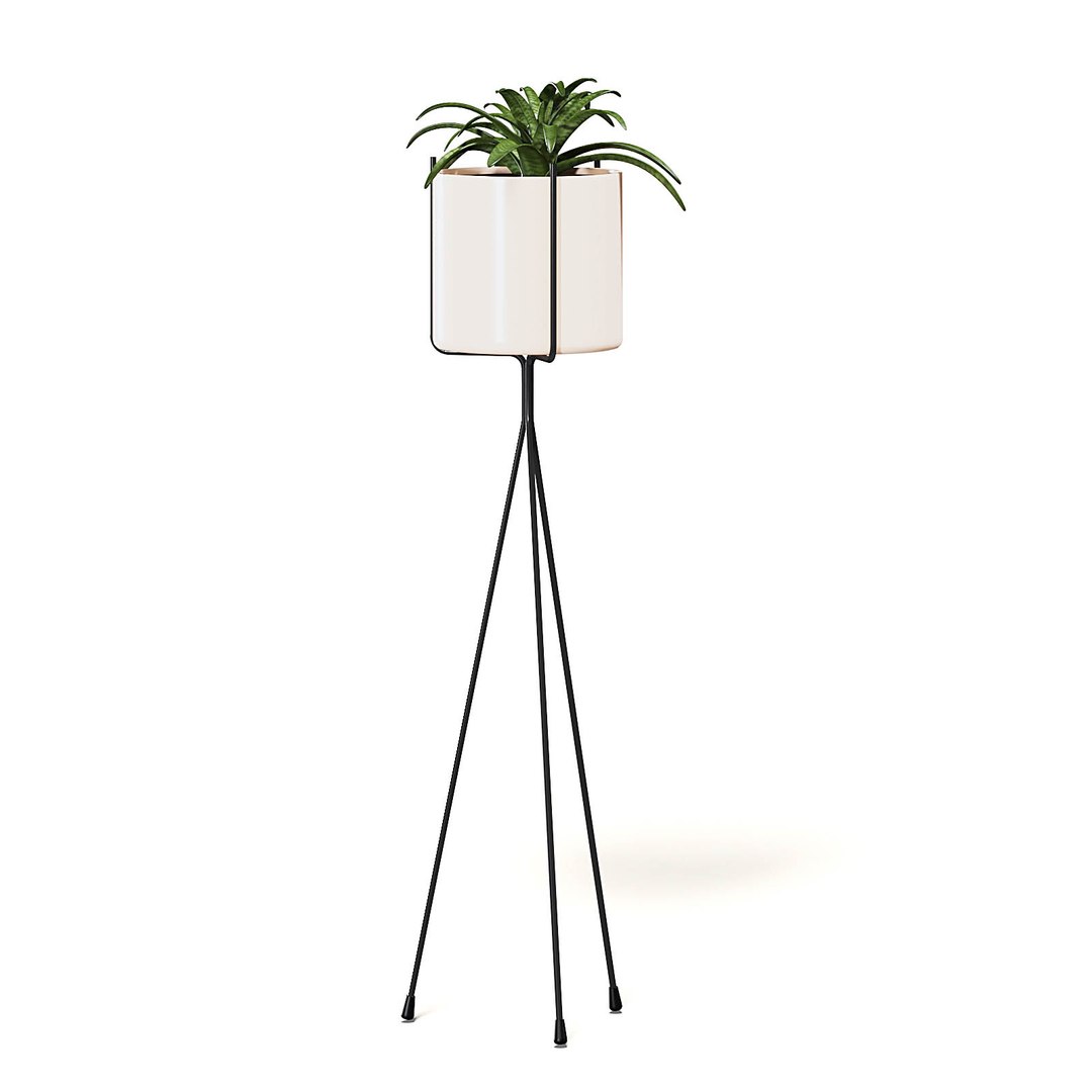 Plant Tall Rack 3D Model - TurboSquid 1386774