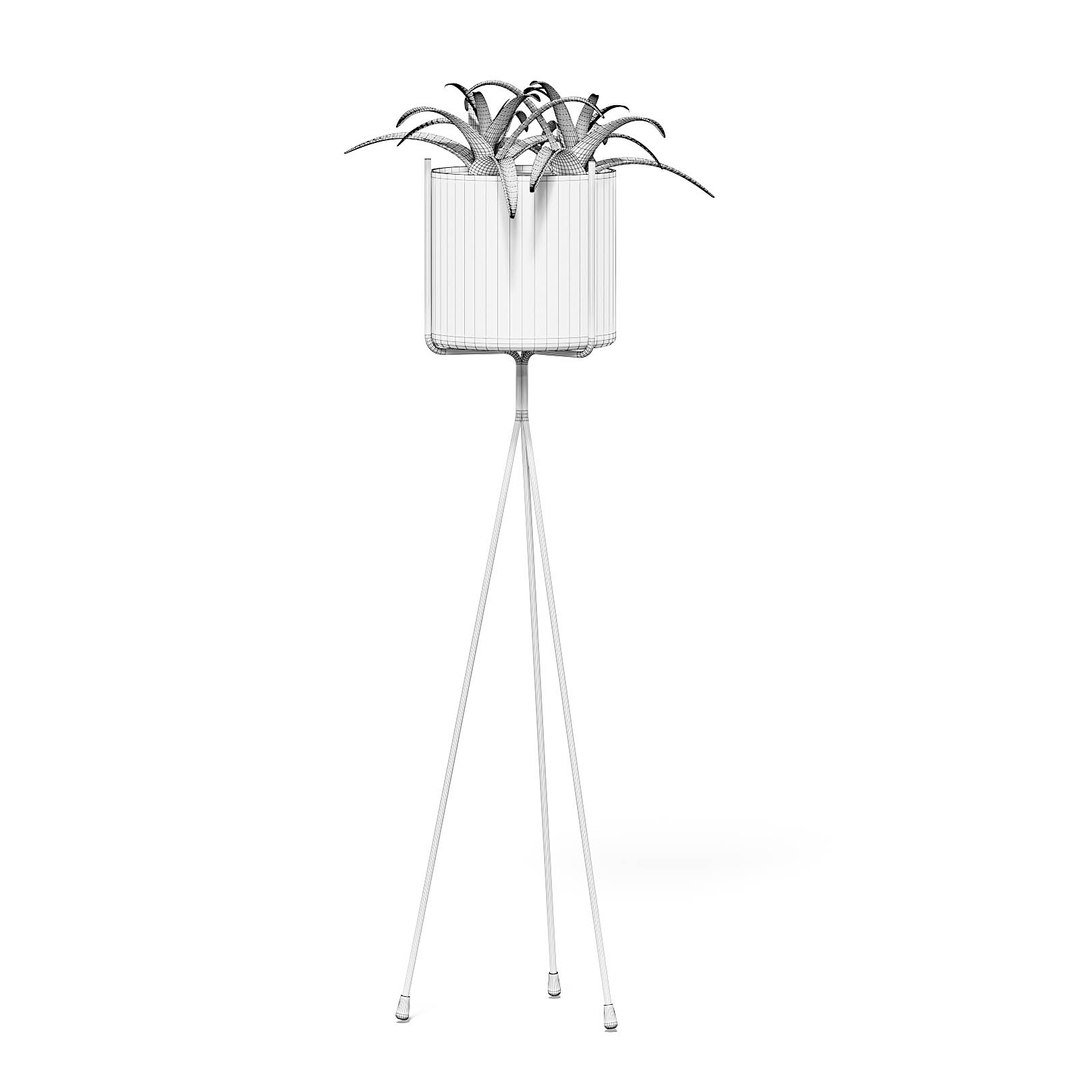 Plant Tall Rack 3D Model - TurboSquid 1386774