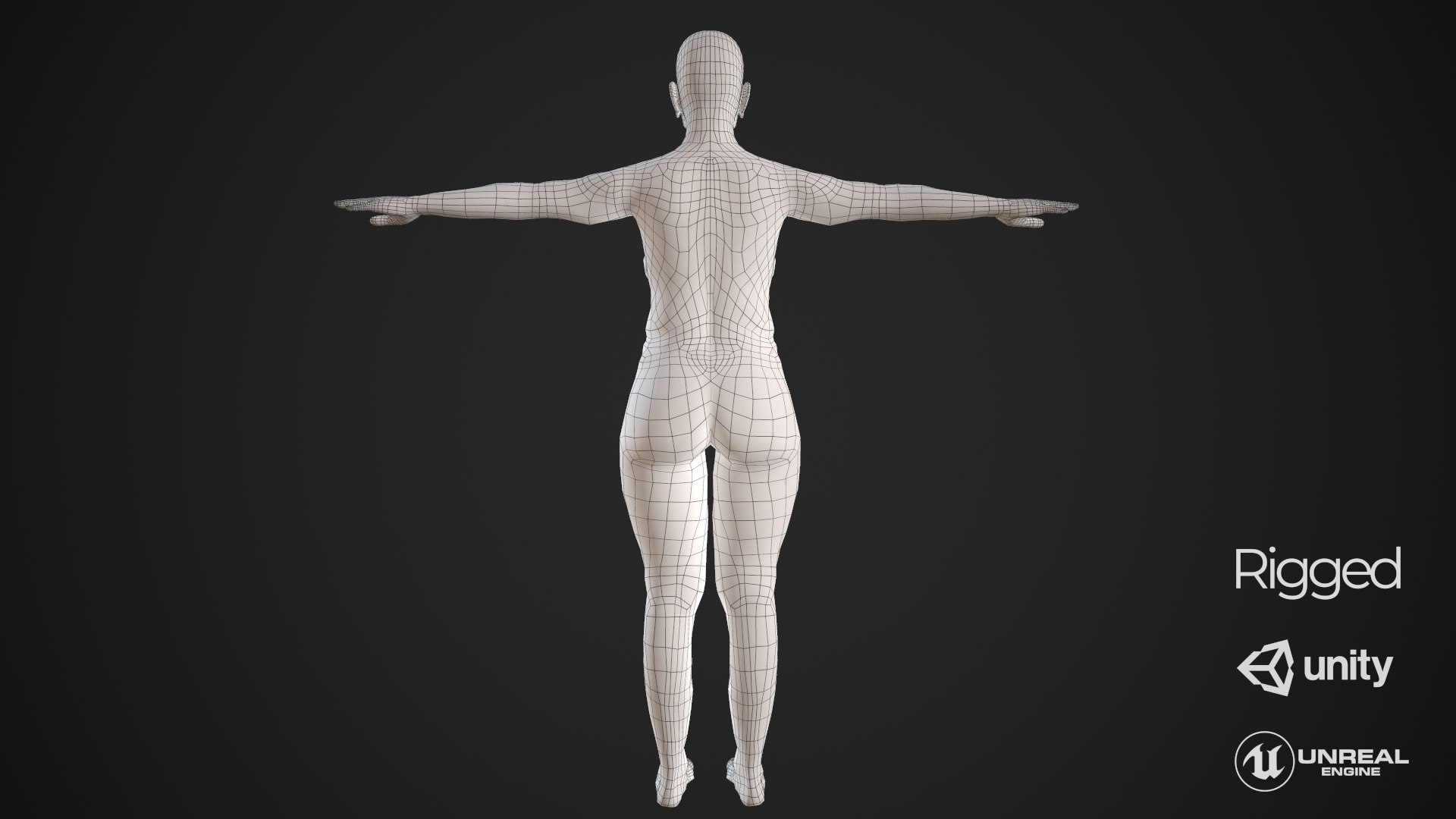 Base Mesh Basemesh 3D - TurboSquid 1680904