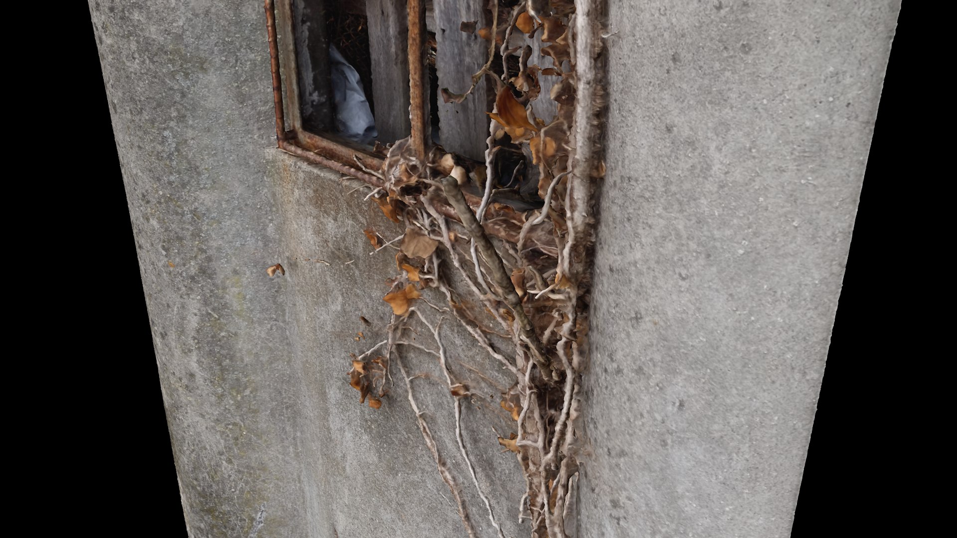 3D Model Window Overgrown With Plants - TurboSquid 2106719