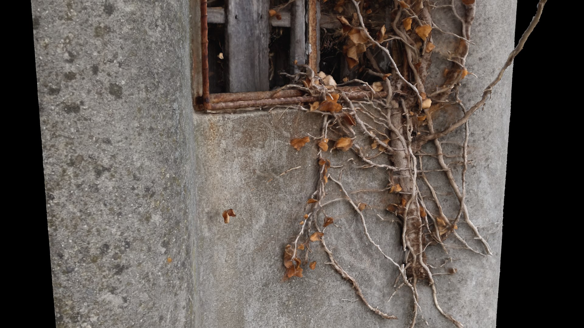 3D Model Window Overgrown With Plants - TurboSquid 2106719