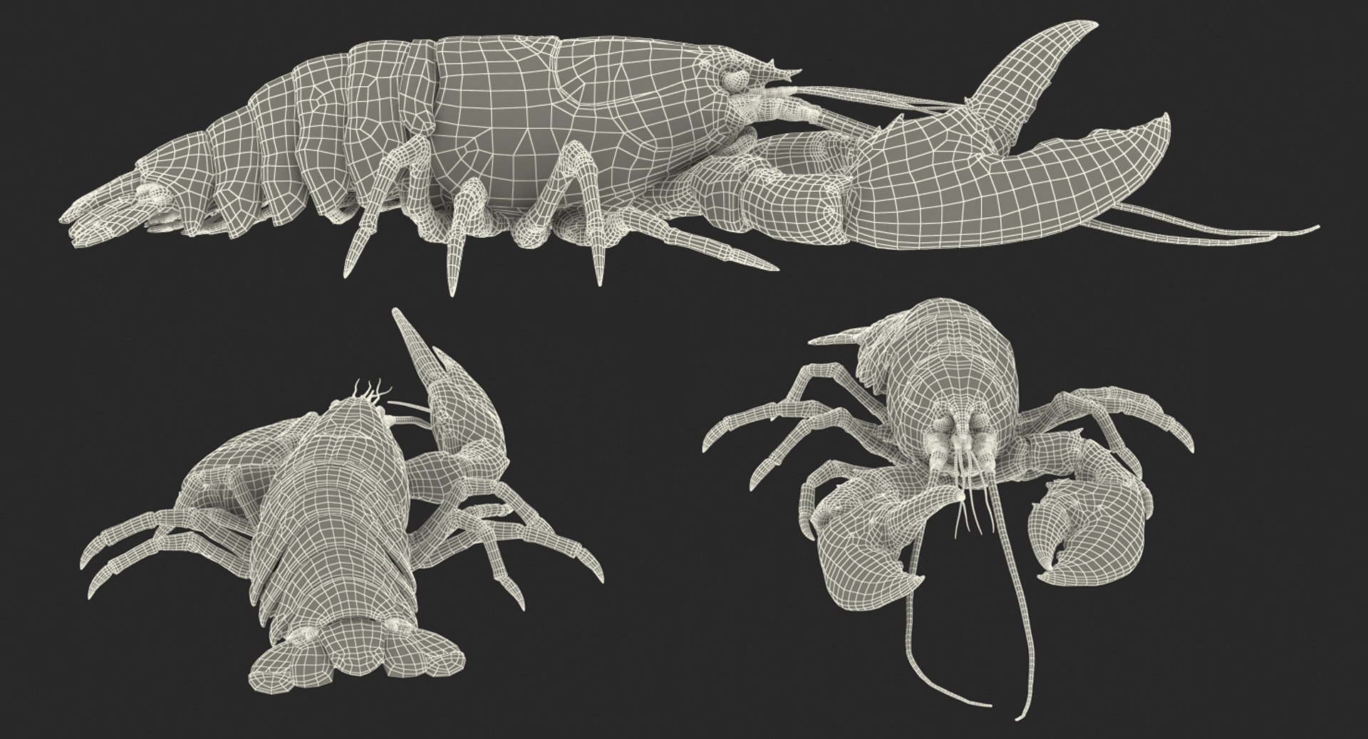 lobster pose 3 fur 3d model