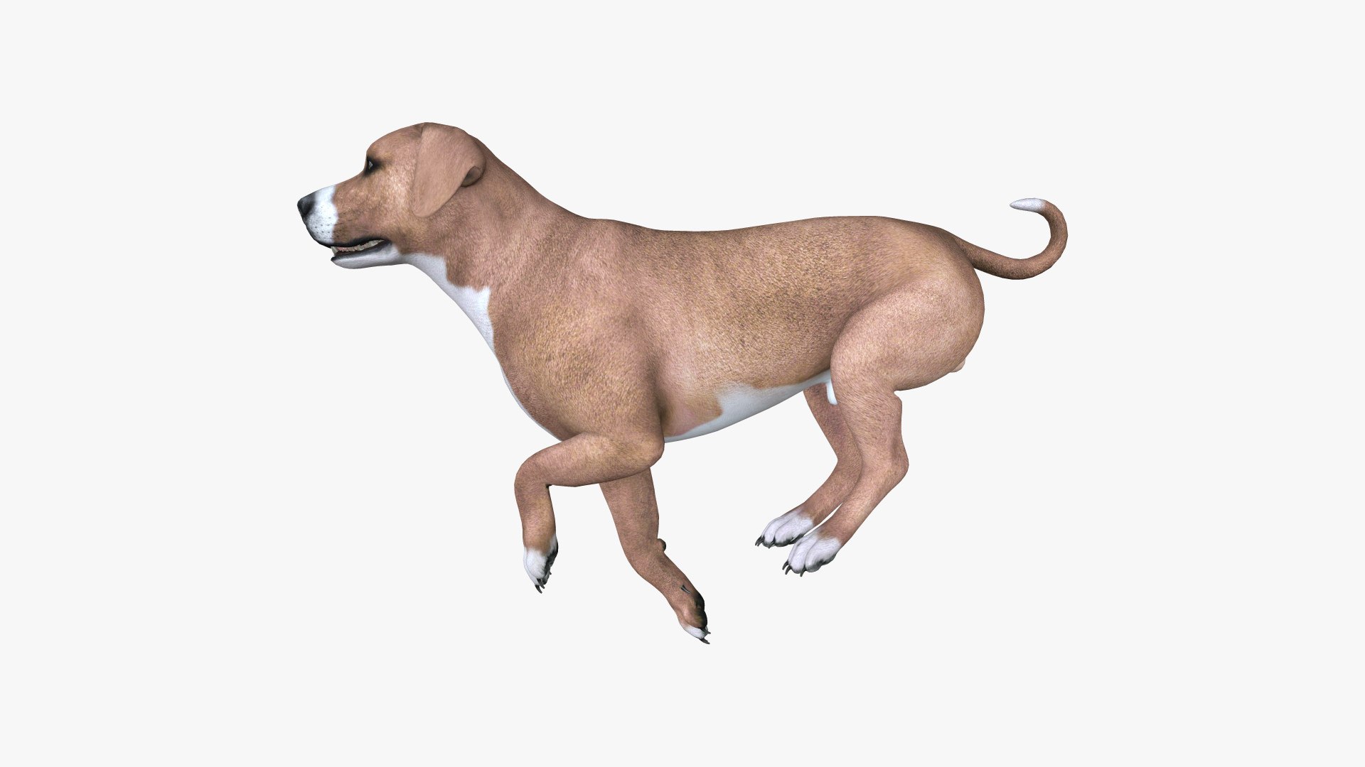 LAB-081 Running Animation 3D Model - TurboSquid 1988603