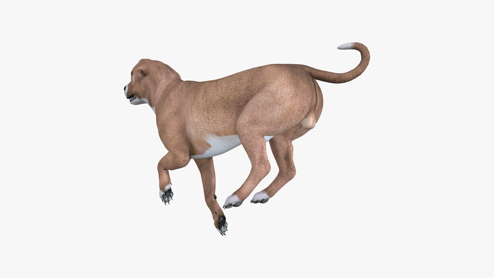 LAB-081 Running Animation 3D Model - TurboSquid 1988603