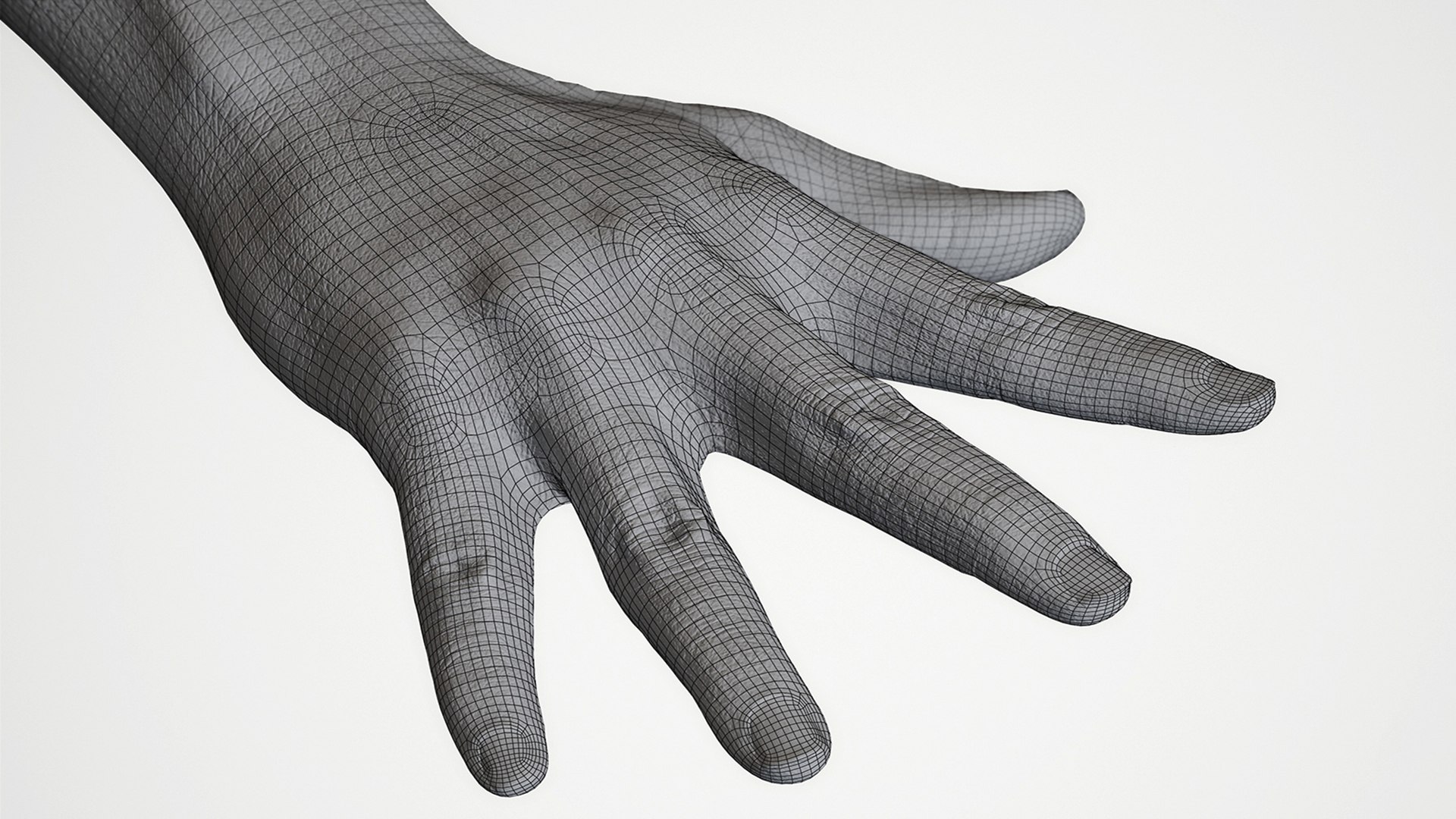 Retopologized 3D Hand Scan Ghalen Wilson 3D - TurboSquid 1812794