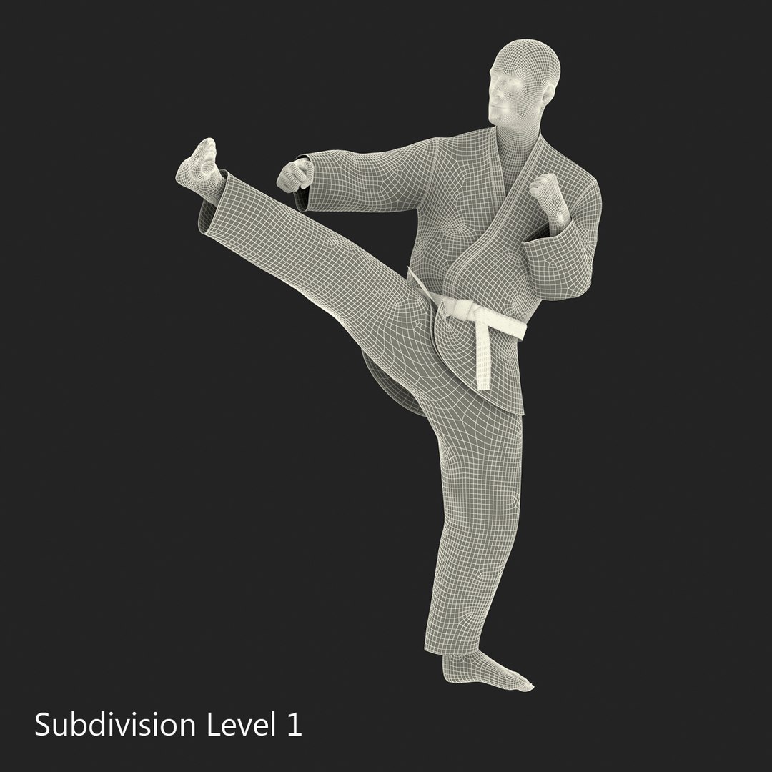 3d karate fighter pose 2