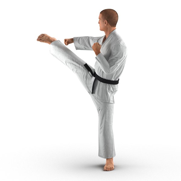 modelo 3d Karate Fighter Pose 2 con Piel Modelo 3D - TurboSquid 1046127