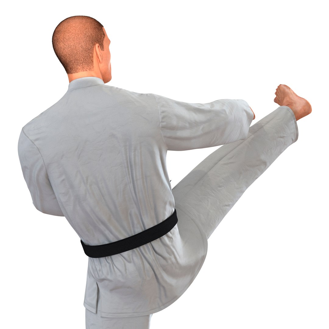 3d karate fighter pose 2