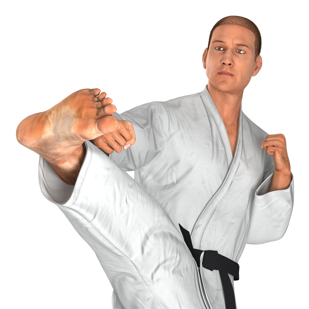 3d karate fighter pose 2