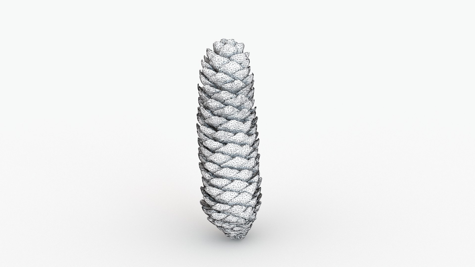 Pinecone Model - TurboSquid 2226951