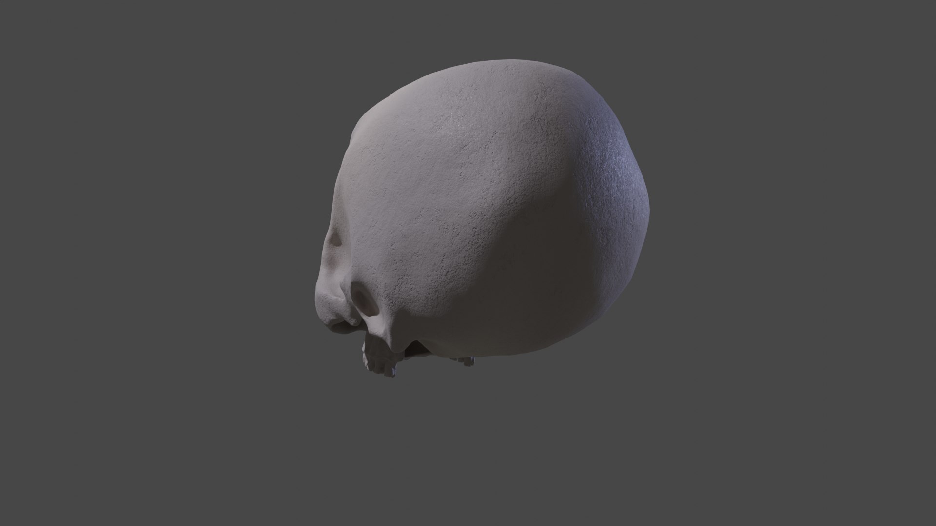 Stylized Skull 3D Model - TurboSquid 1958067
