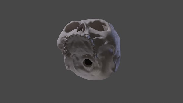 Stylized Skull 3D model - TurboSquid 1958067