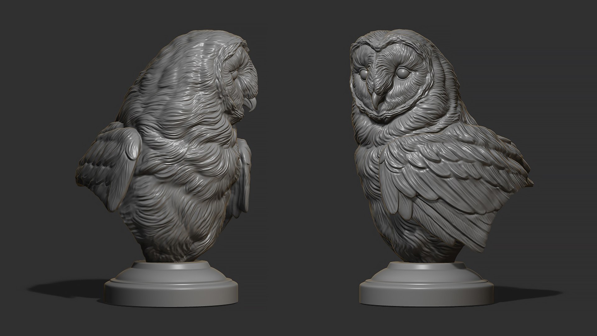3D Model Barn Owl Bust - TurboSquid 2118252