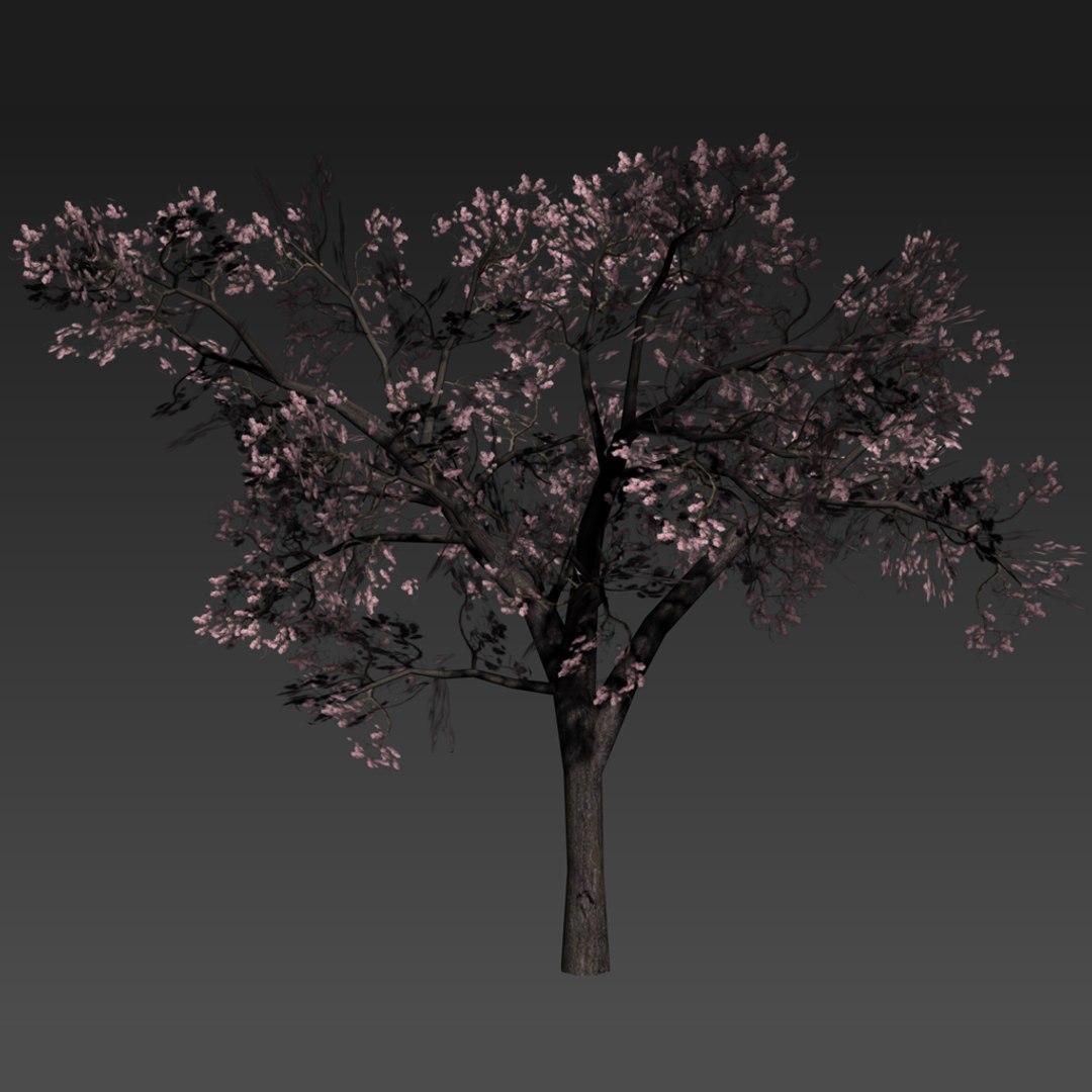 3d Cherry Tree