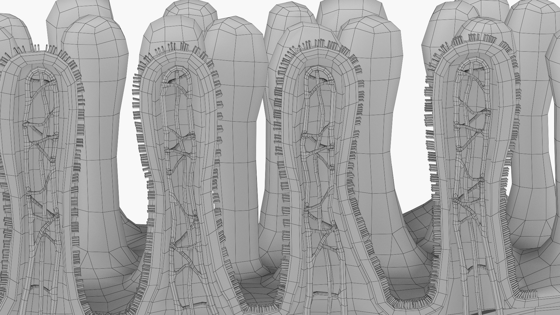 Villi Cross Section With Microvilli Model - TurboSquid 2347866