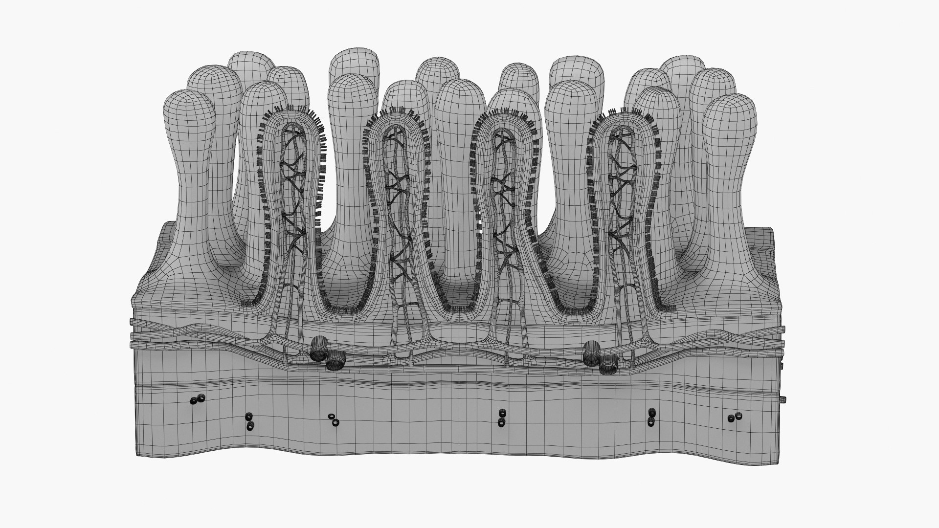 Villi Cross Section With Microvilli Model - TurboSquid 2347866