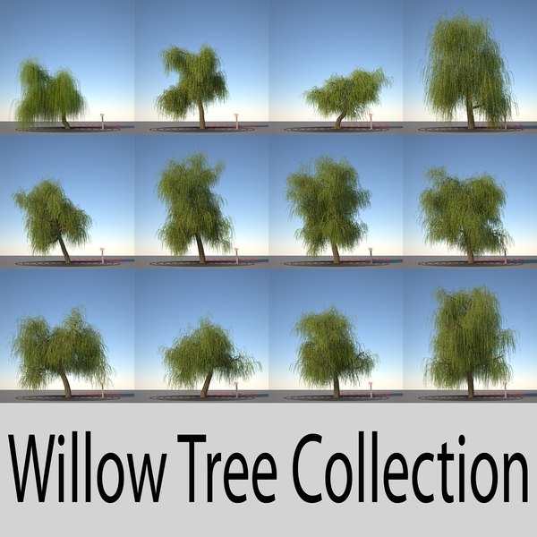 Low Poly Willow Tree 3D Models for Download | TurboSquid