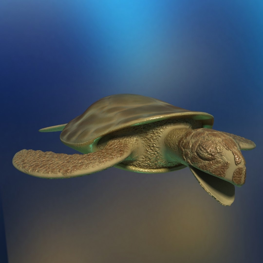 Brown sea turtle fully rigged 3D model - TurboSquid 1290216