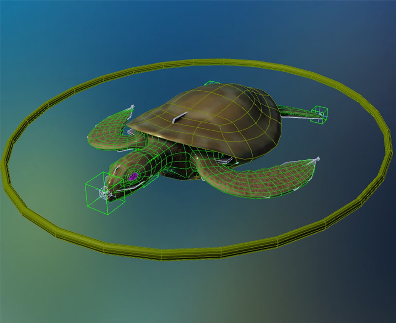 Brown sea turtle fully rigged 3D model - TurboSquid 1290216