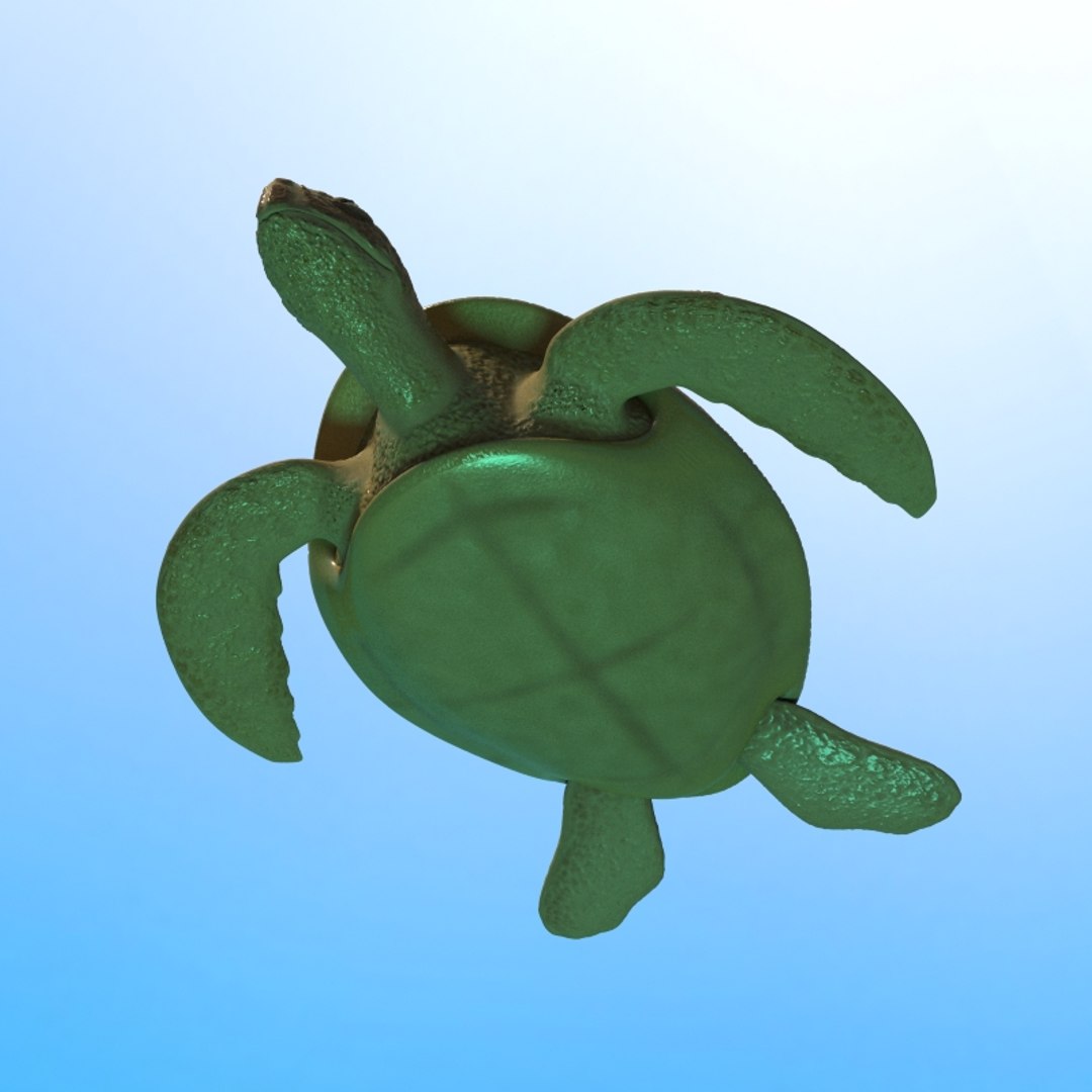 Brown sea turtle fully rigged 3D model - TurboSquid 1290216