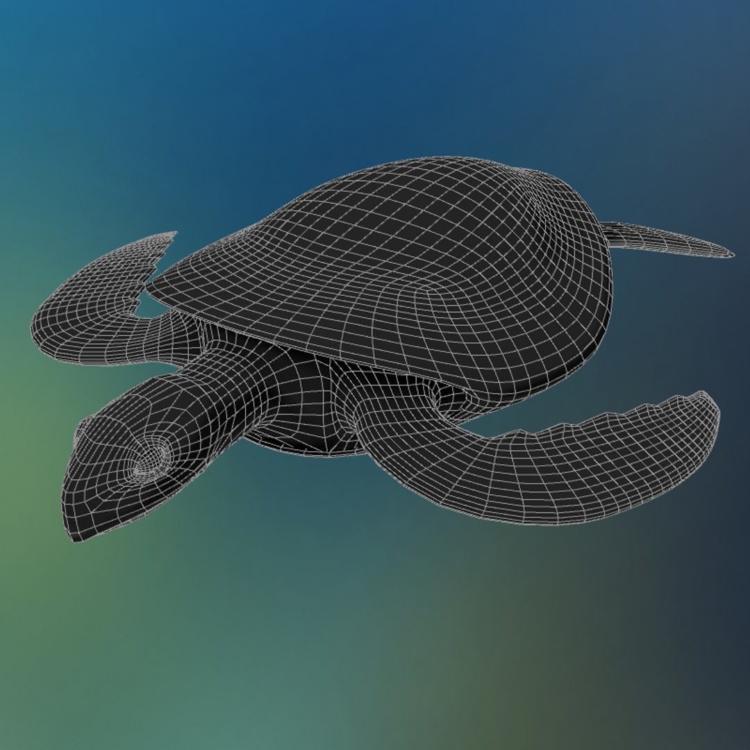 Brown sea turtle fully rigged 3D model - TurboSquid 1290216