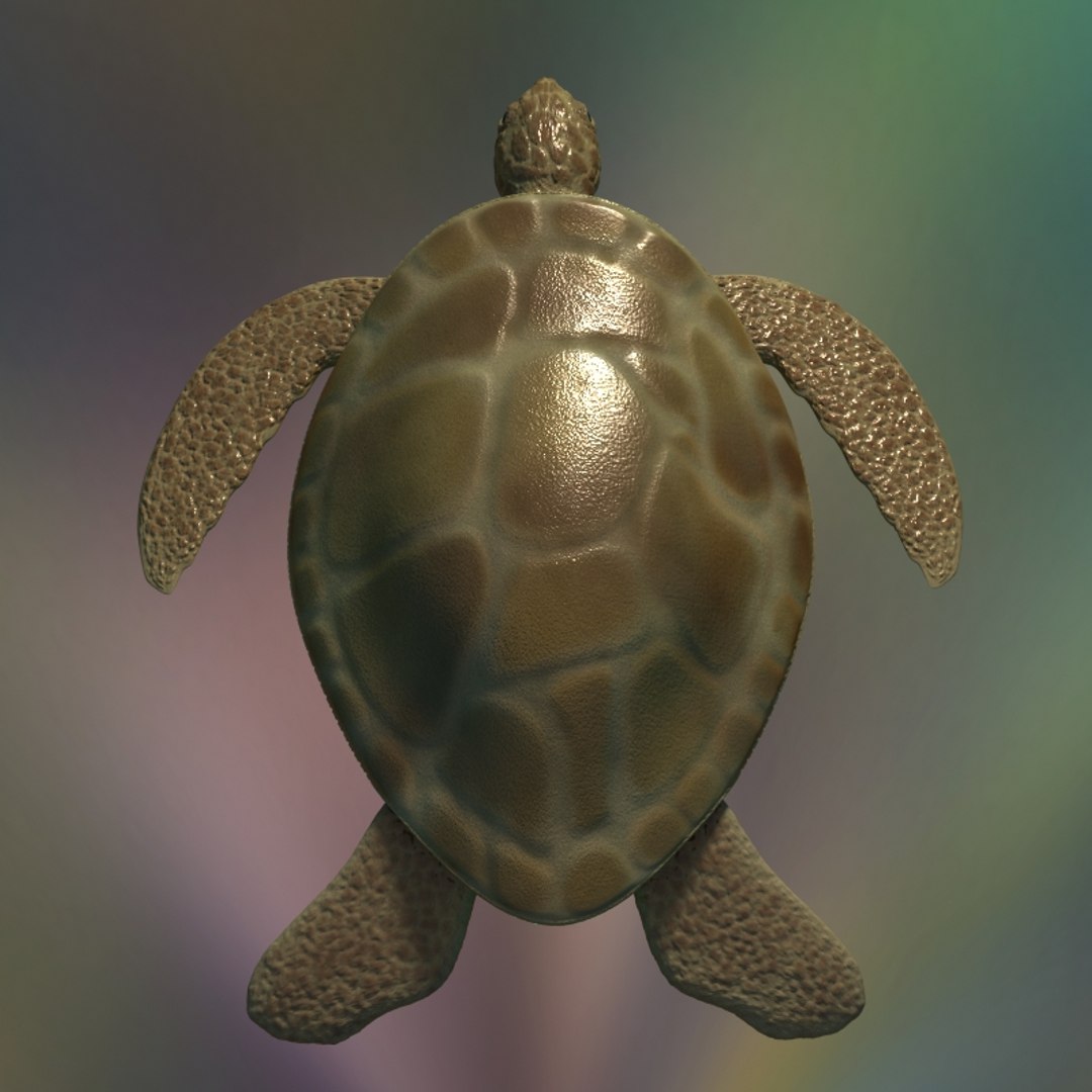 Brown sea turtle fully rigged 3D model - TurboSquid 1290216
