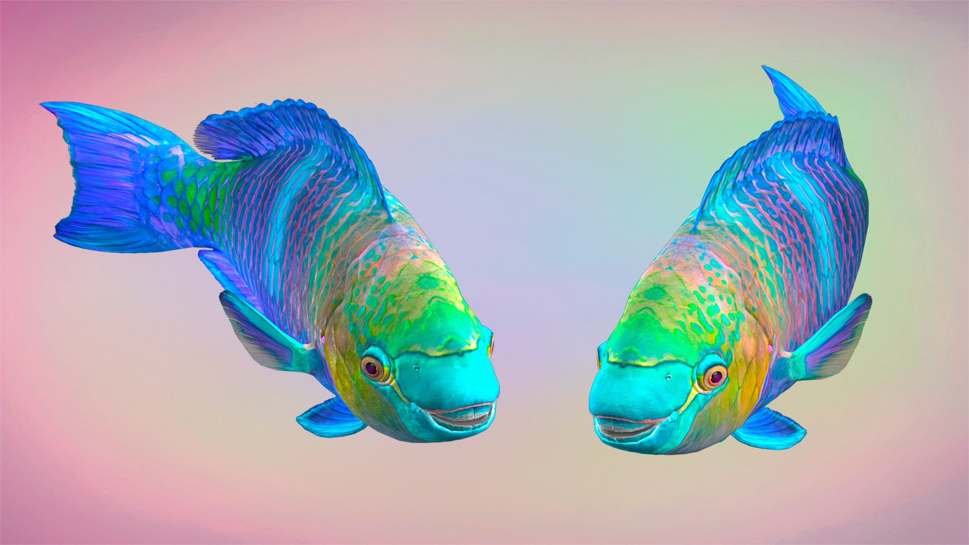 Fish Parrotfish 3D Model - TurboSquid 1939392