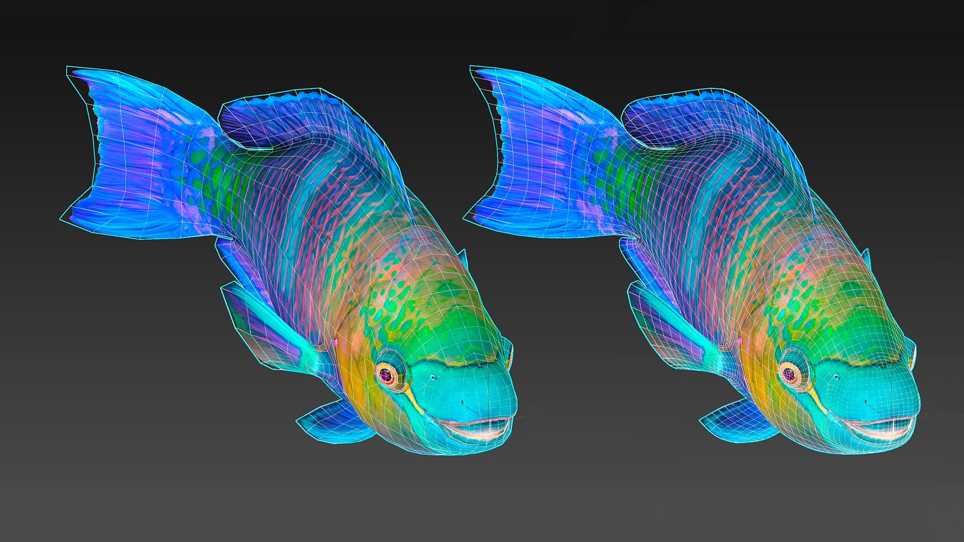 Fish Parrotfish 3D Model - TurboSquid 1939392