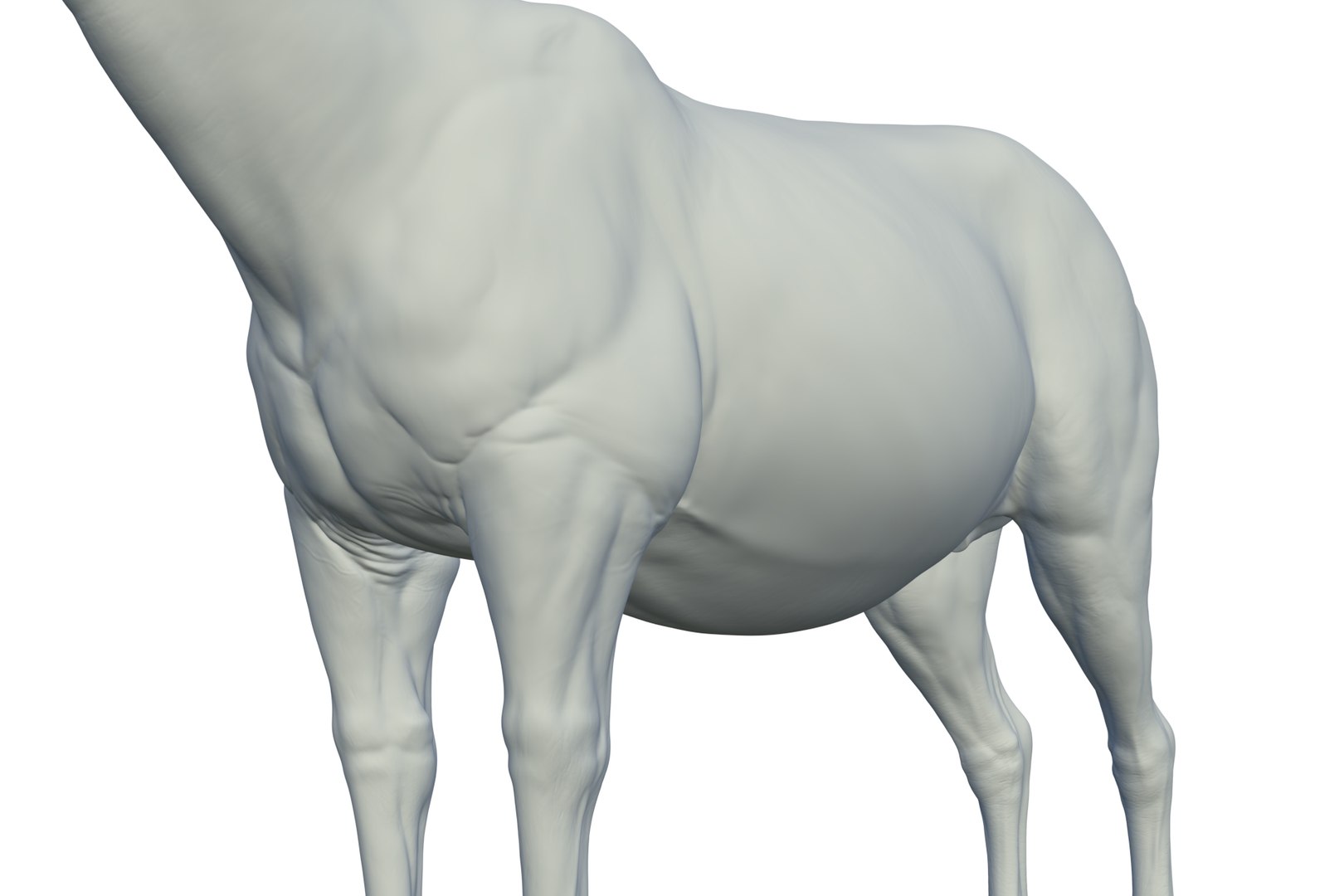 3D Zebra - TurboSquid 2213545