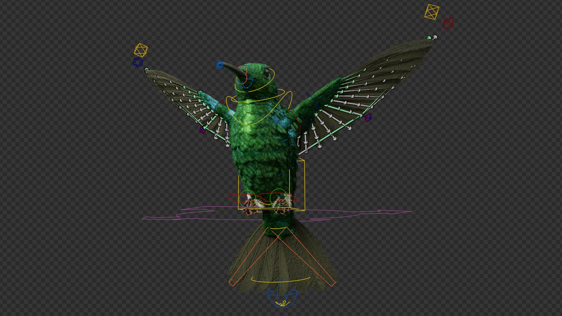 Hummingbird 3D Model - TurboSquid 2220894