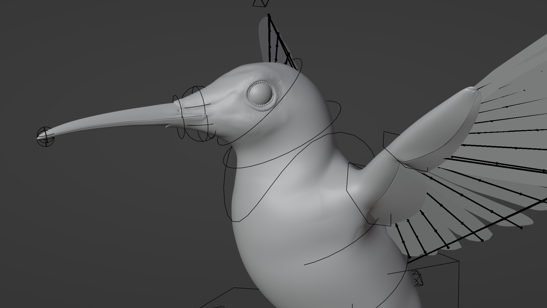 Hummingbird 3D Model - TurboSquid 2220894