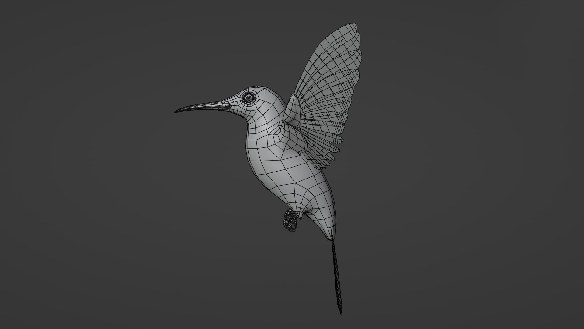 Hummingbird 3D Model - TurboSquid 2220894