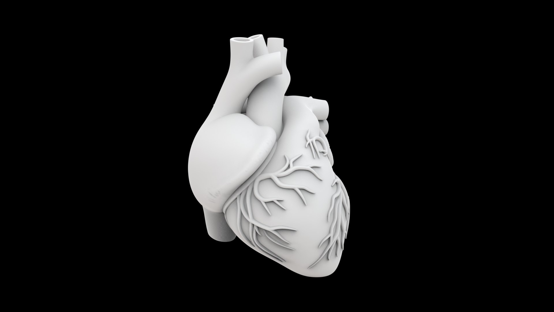 3D Anatomical Human Heart 3D Print Model - TurboSquid 2438012