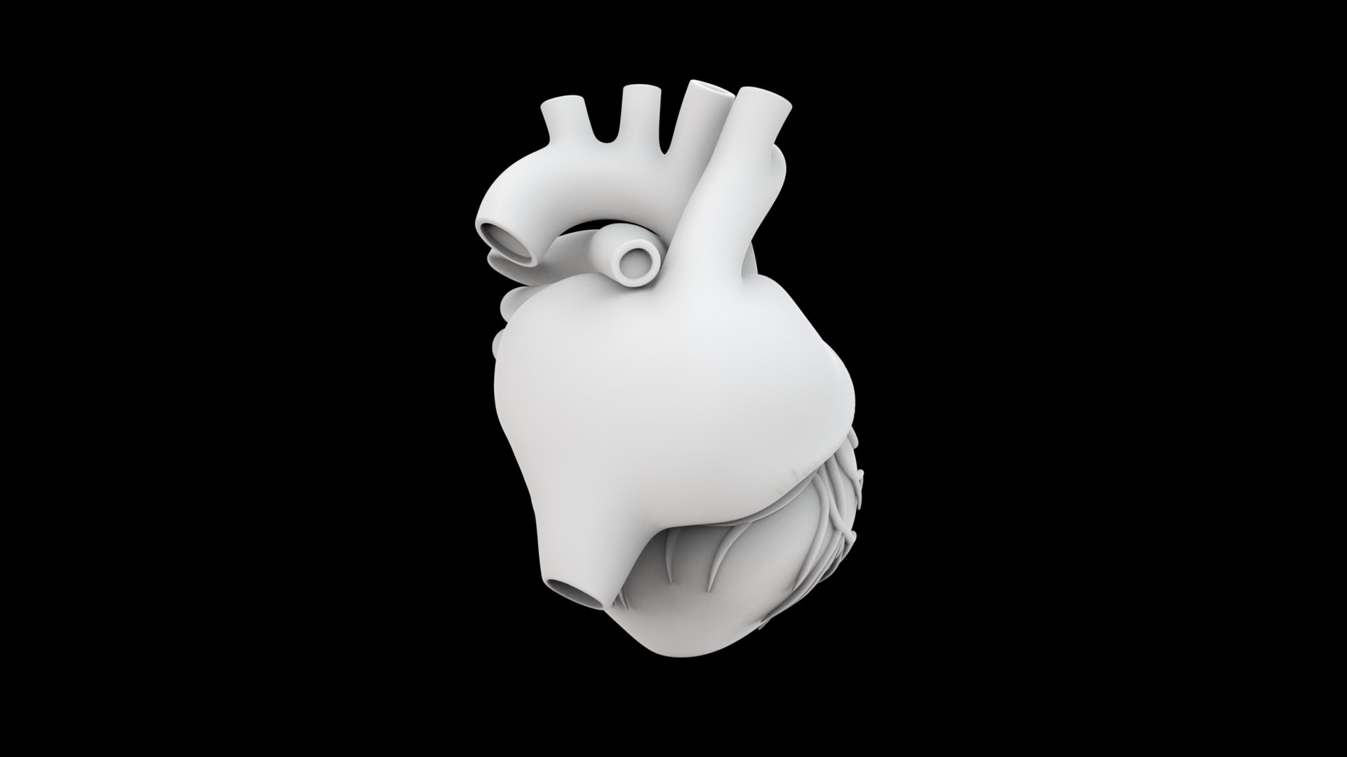 3D Anatomical Human Heart 3D Print Model - TurboSquid 2438012