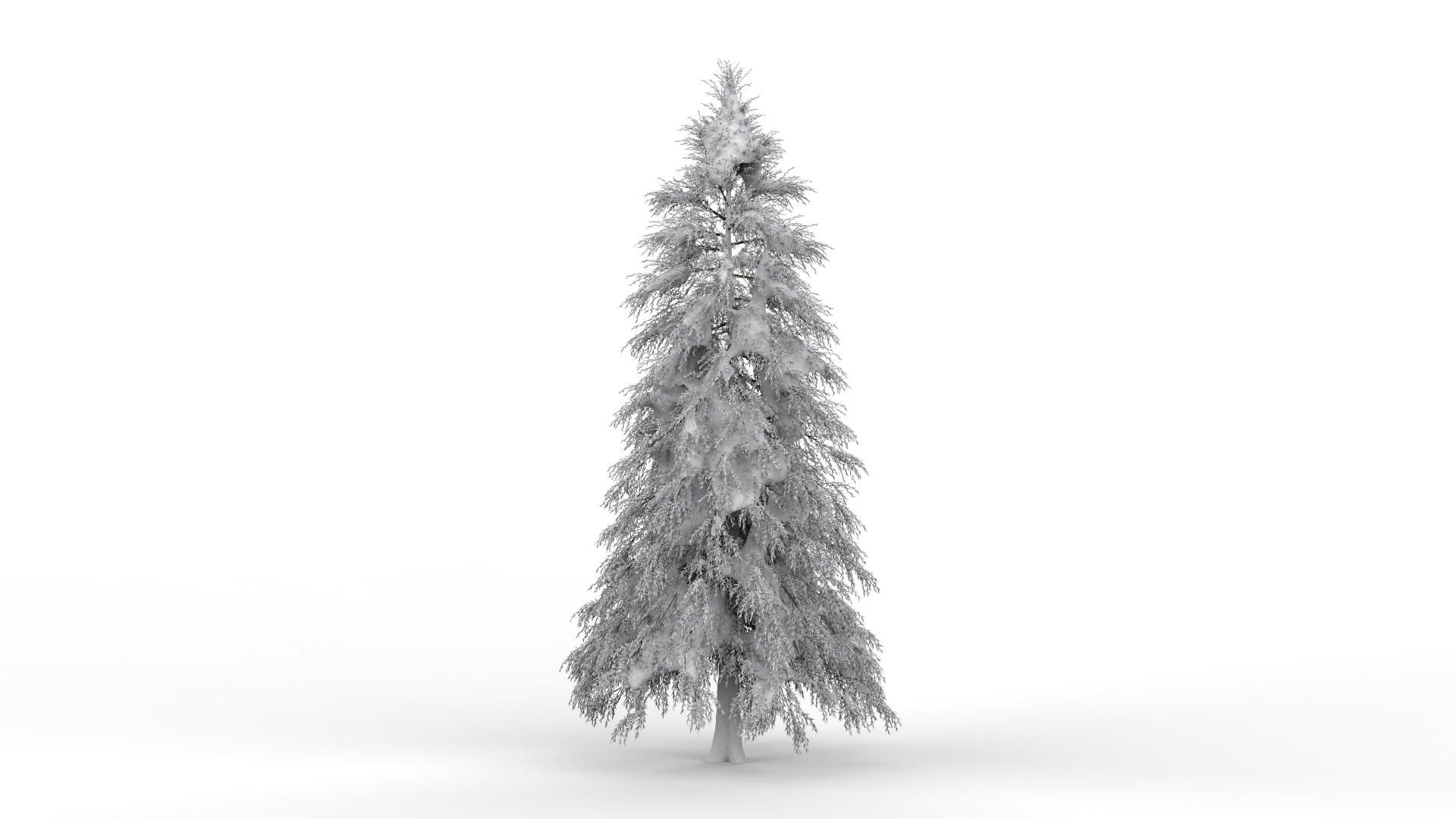 Abies Fraseri Snow Tree 3D Model - TurboSquid 2292300