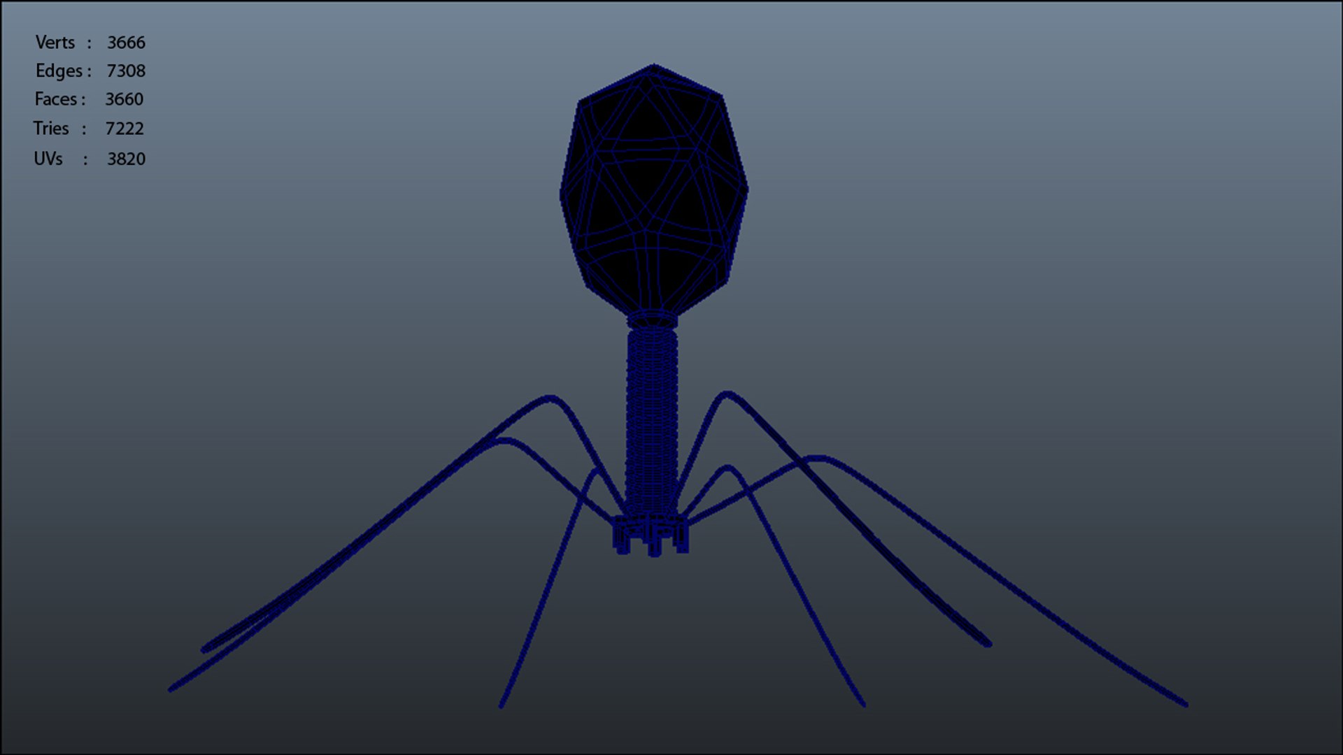bacteriophage 3d model