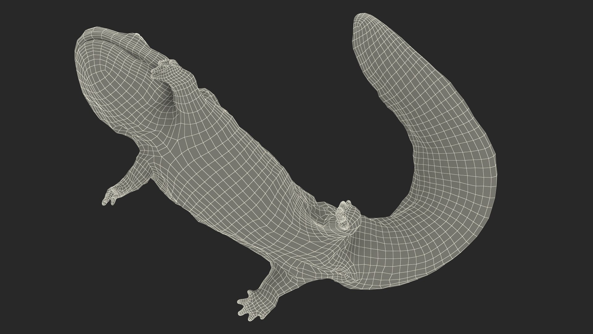 Aquatic Giant Salamander Light Swimming 3D Model - TurboSquid 2232403