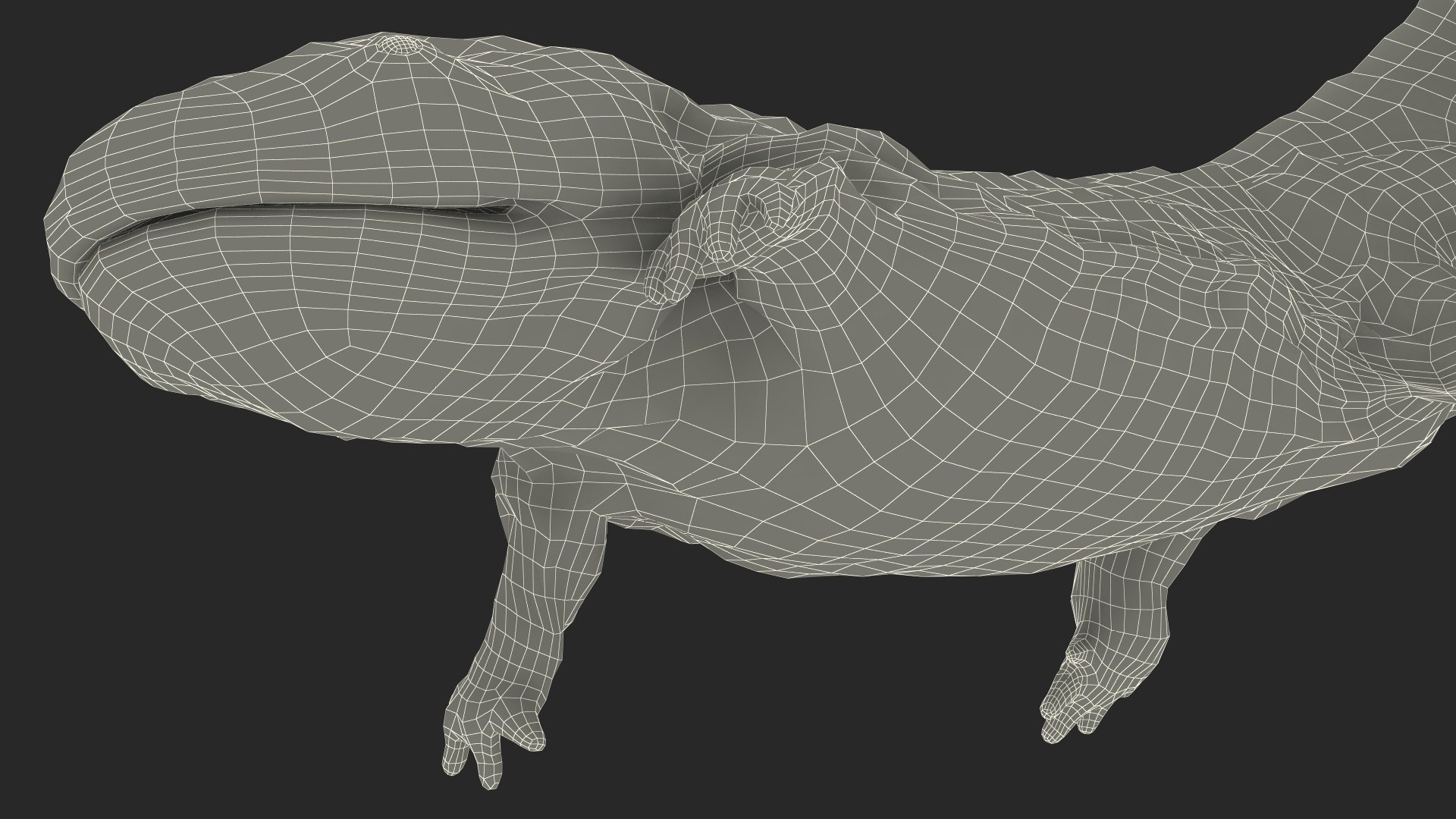 Aquatic Giant Salamander Light Swimming 3D Model - TurboSquid 2232403