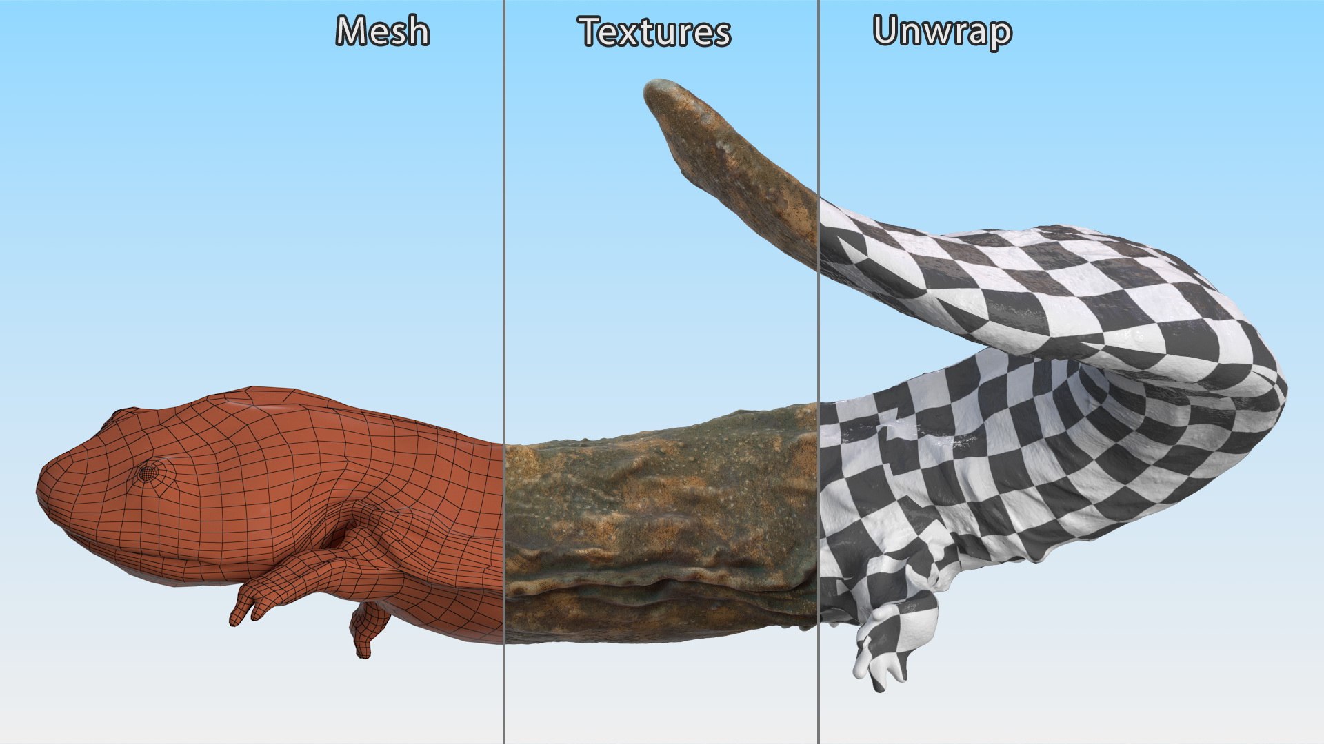 Aquatic Giant Salamander Light Swimming 3D Model - TurboSquid 2232403