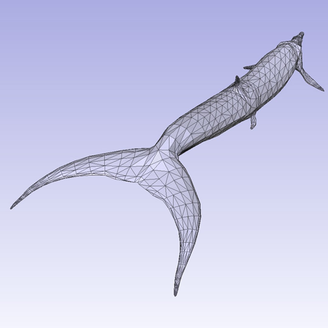 3d Model Basilosaurus Film Tv