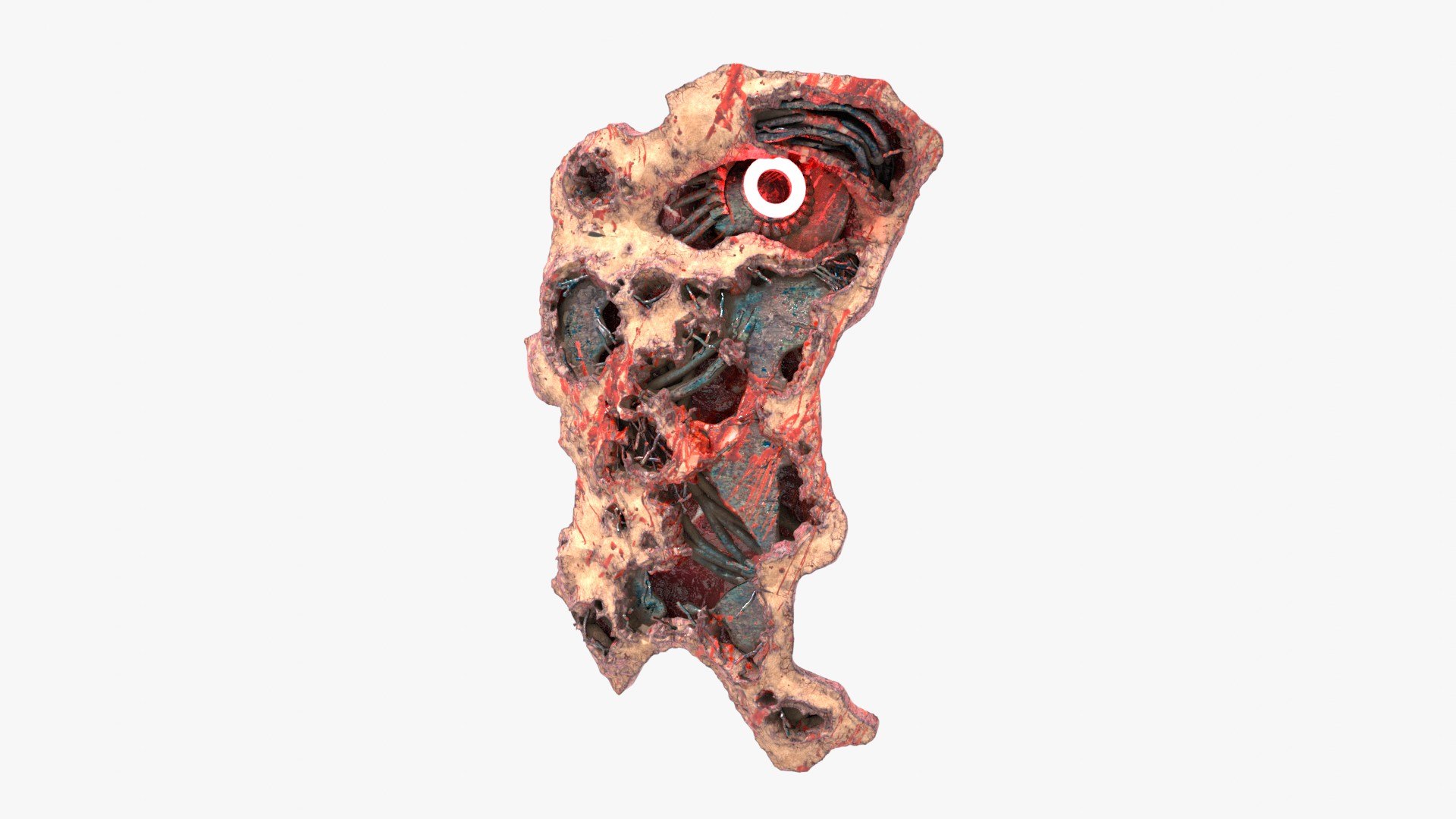 Wounded face 3D - TurboSquid 1353122