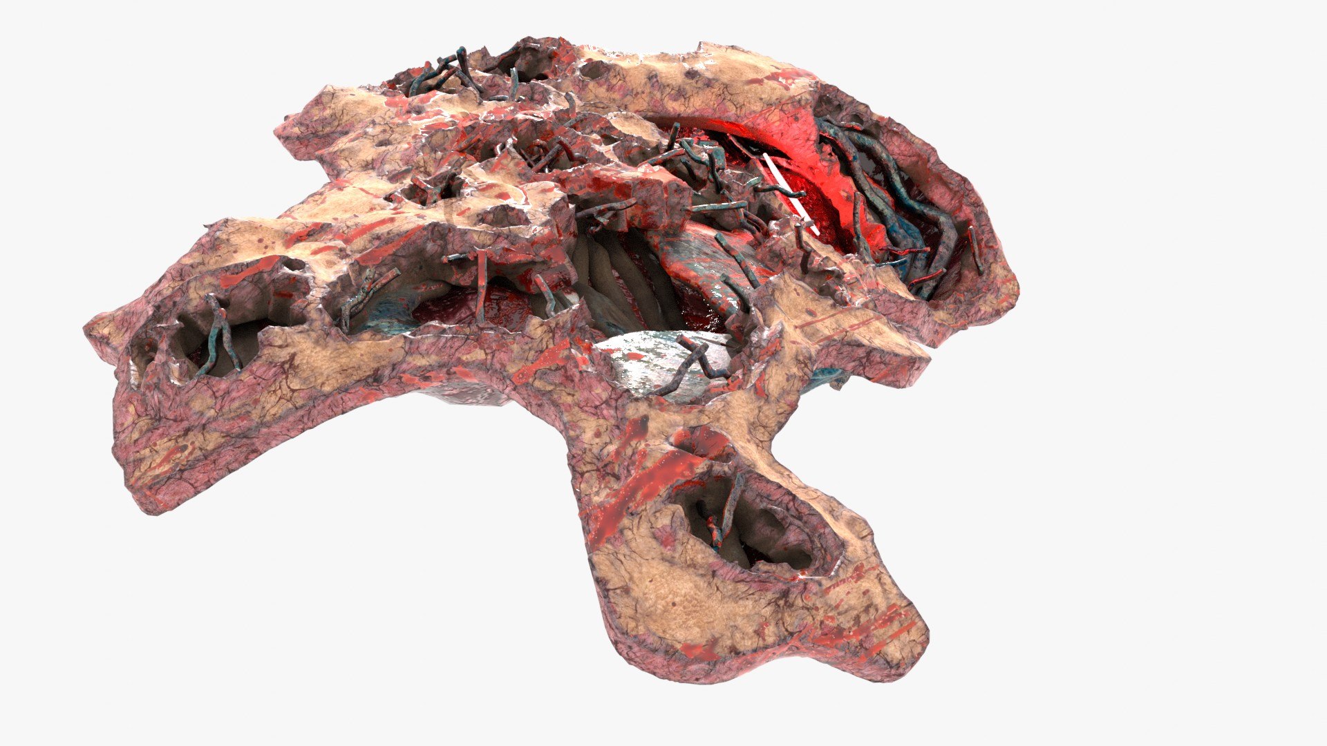 Wounded face 3D - TurboSquid 1353122