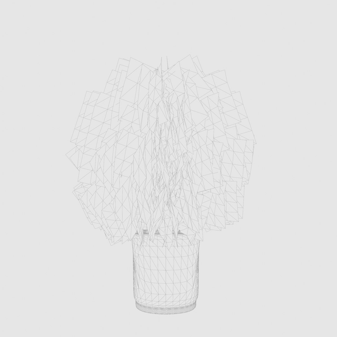 Thuja Occidentalis Tiny Tim 3D Model - TurboSquid 2252536