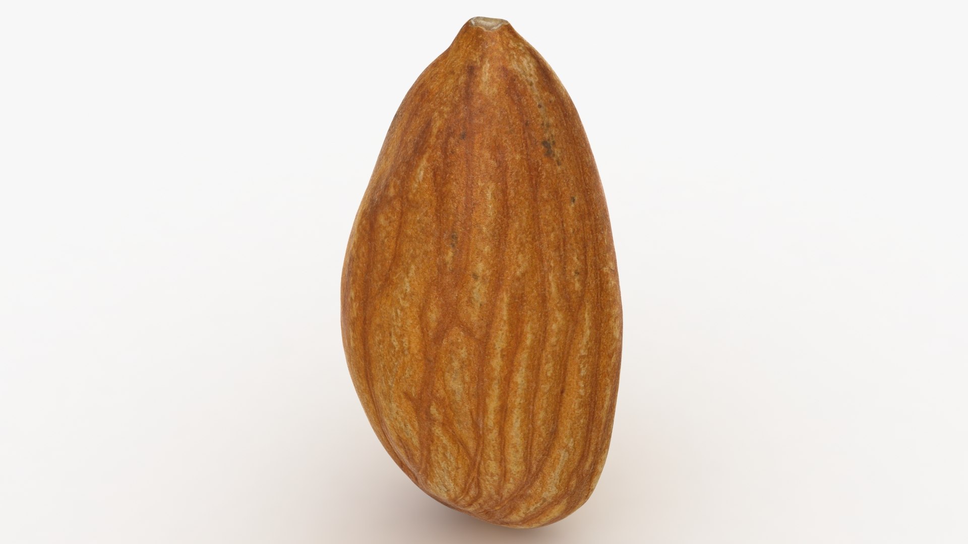 Almond And Almond Shell Collection 3D - TurboSquid 2310943