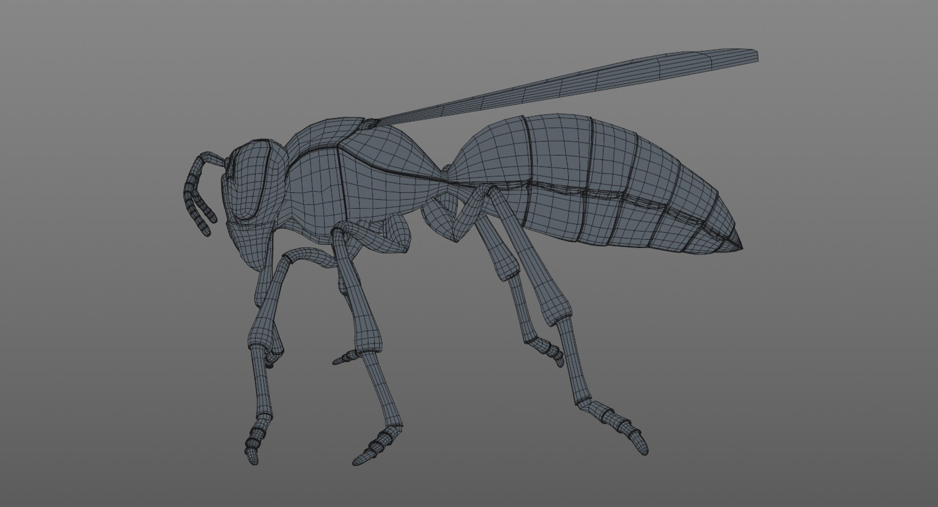 3d Realistic Wasp