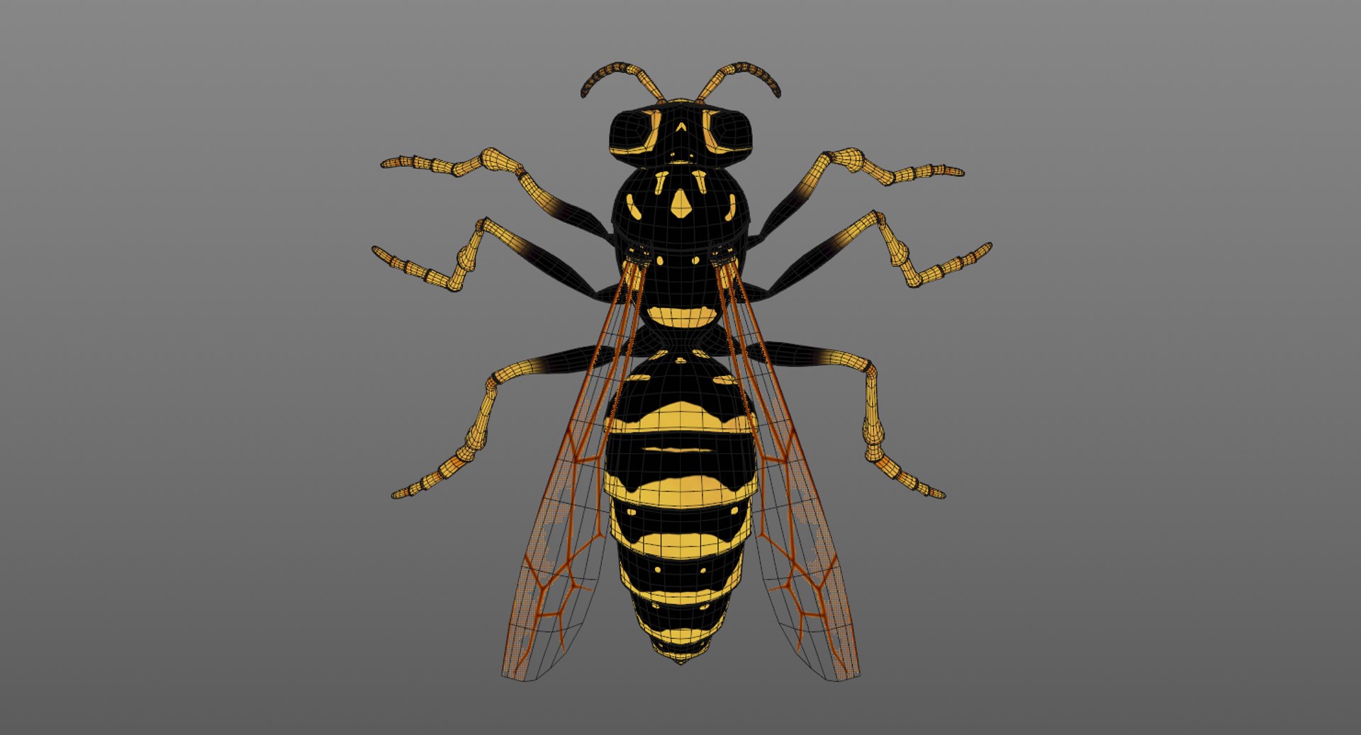 3d Realistic Wasp