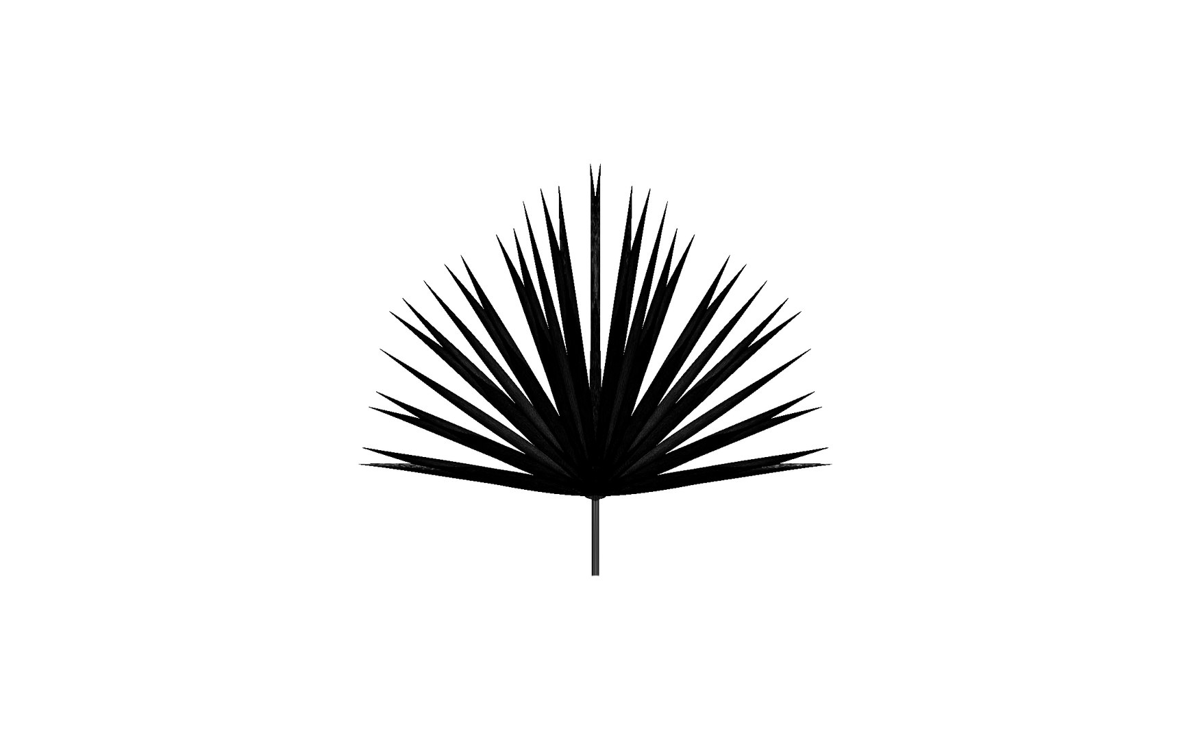 Palm 3D Model - TurboSquid 2053568